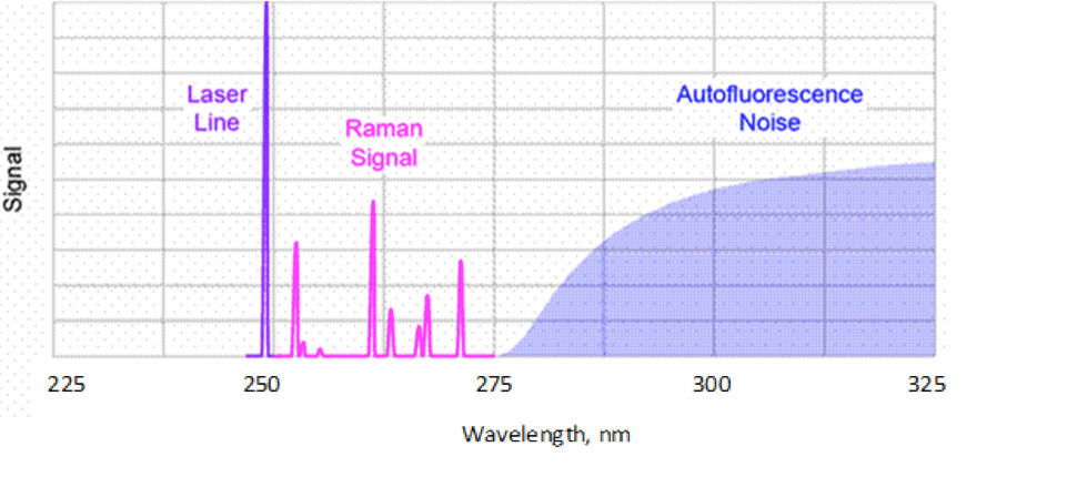 UV Raman spectroscopy - NicoletCZ